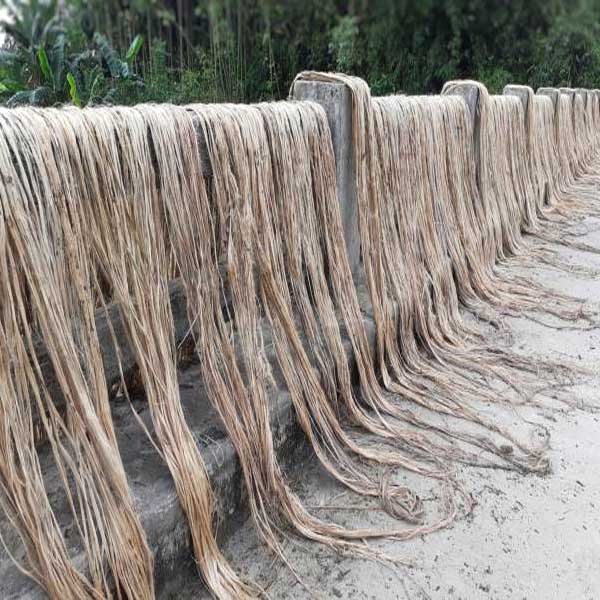 Bleched Raw Jute